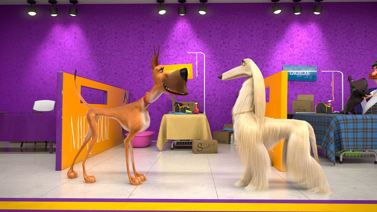 Foto do filme Marmaduke - Foto 27 de 39 - AdoroCinema