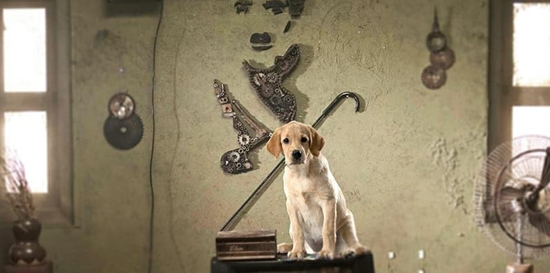 Foto do filme Charlie: Um Cachorro Especial - Foto 11 de 14 - AdoroCinema