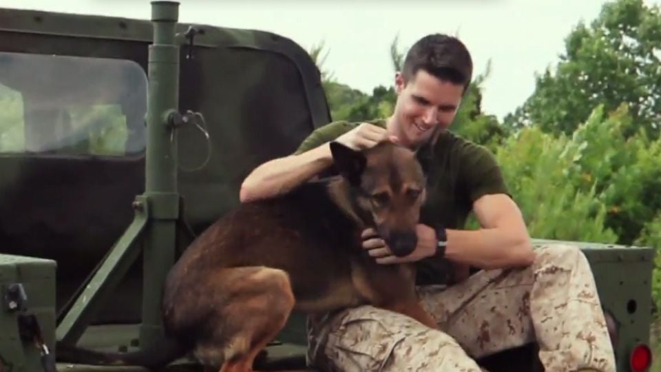 Trailer do filme Max - O Cão Herói - Max - O Cão Herói Trailer Original ...