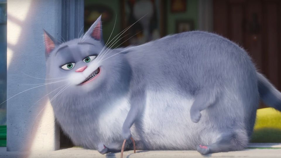 Clipe do filme Pets: A Vida Secreta dos Bichos - Pets - A Vida Secreta ...