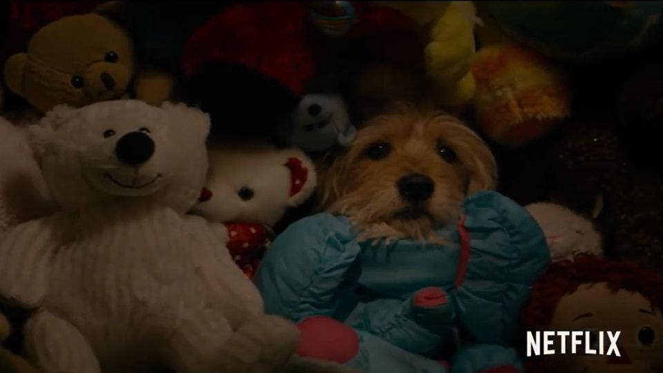 Trailer do filme Benji - Benji Trailer Original - AdoroCinema