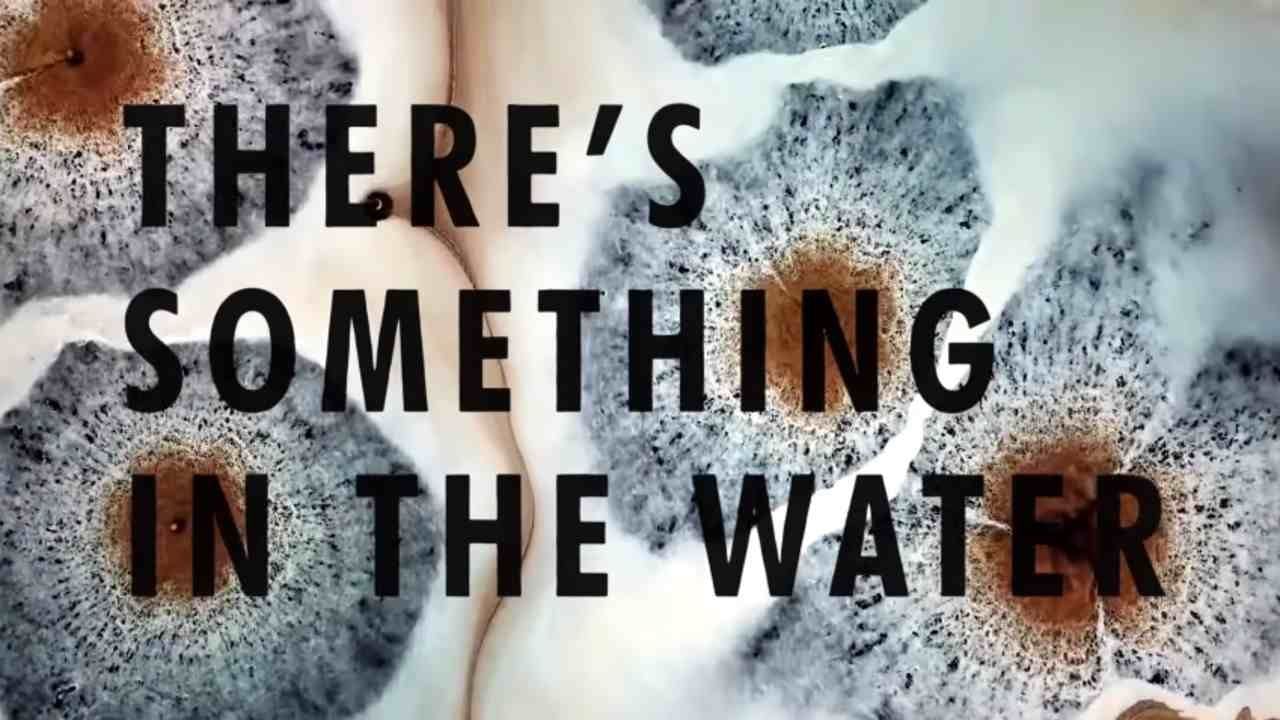 Trailer do filme There's Something In The Water - There's Something in ...