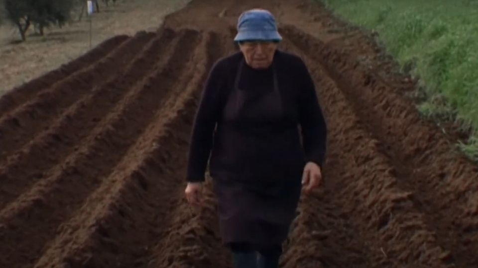 Trailer do filme Terra que Marca - Terra que Marca Trailer Oficial ...