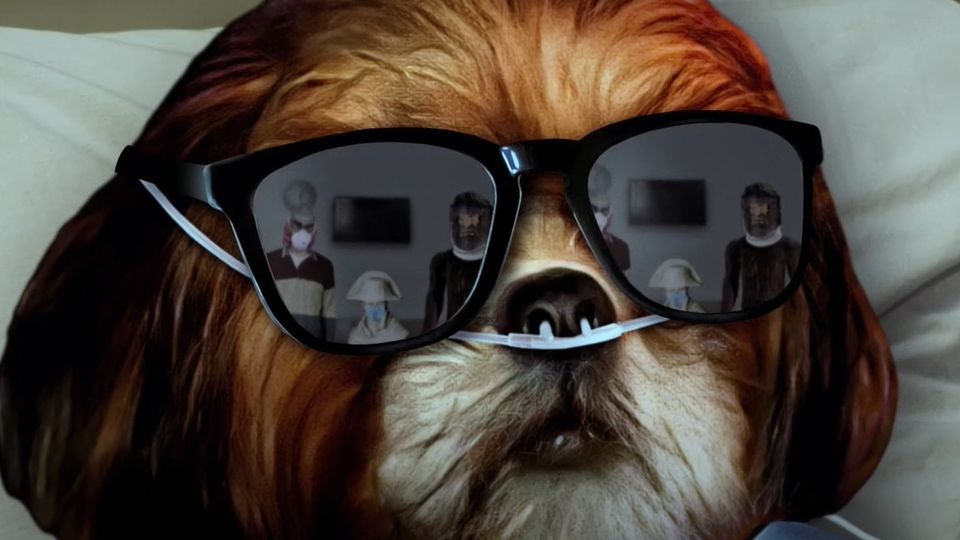 Trailer do filme O Natal do Bruno Aleixo - O Natal do Bruno Aleixo ...